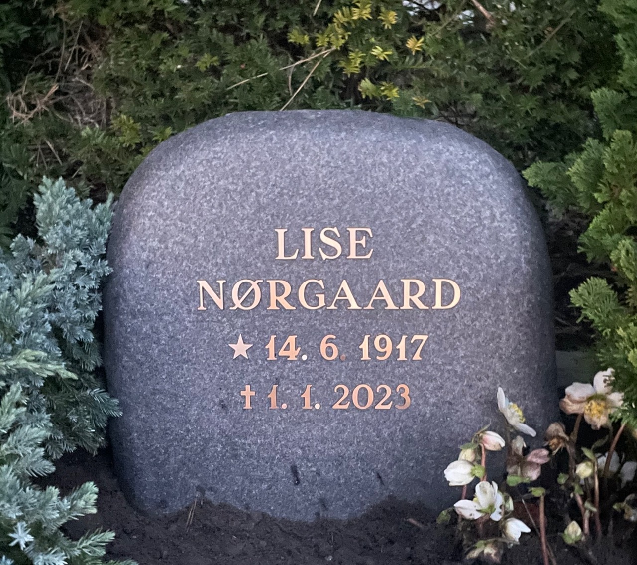 Lise Nørgaard - Matadors moder - En dansk journalist, redaktør, forfatter og manuskriptforfatter ...